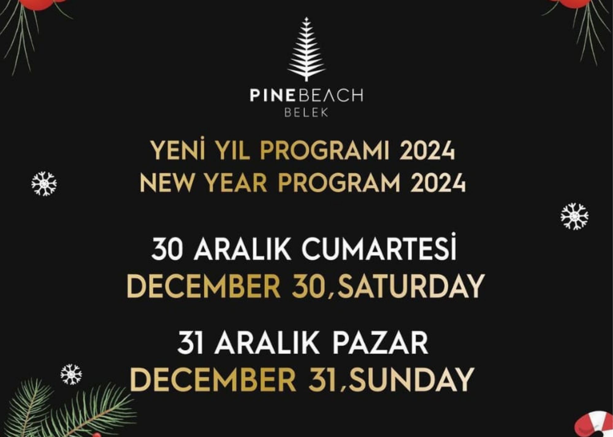 Pine Beach Belek New Year Program - Visit Belek